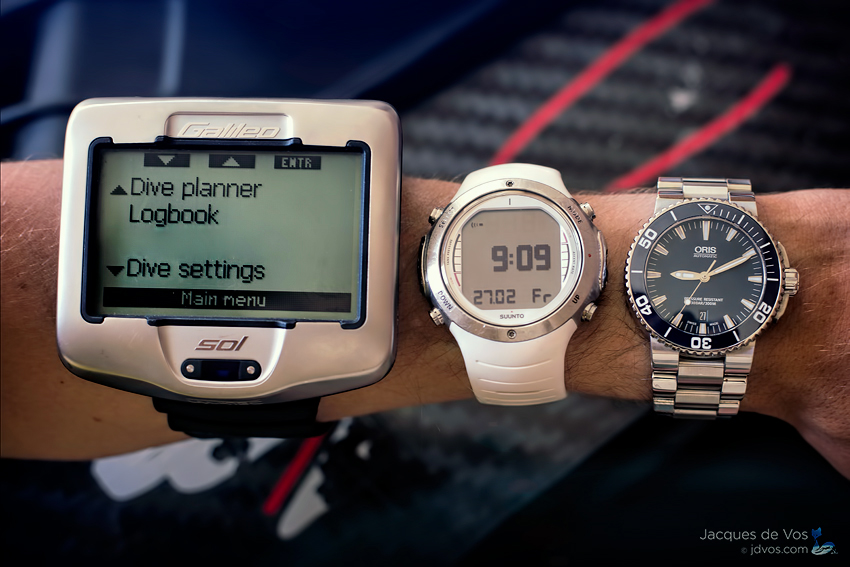Understanding the distinctions between dive computers and dive watches ...